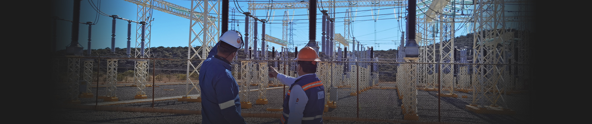 Areas de Negocio - SUAT-EC